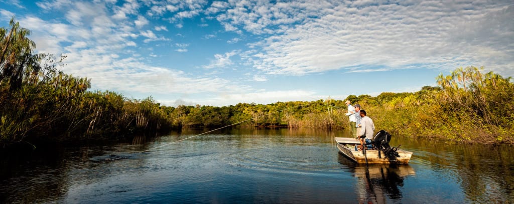 Olly Thompson - Aardvark Mcleod