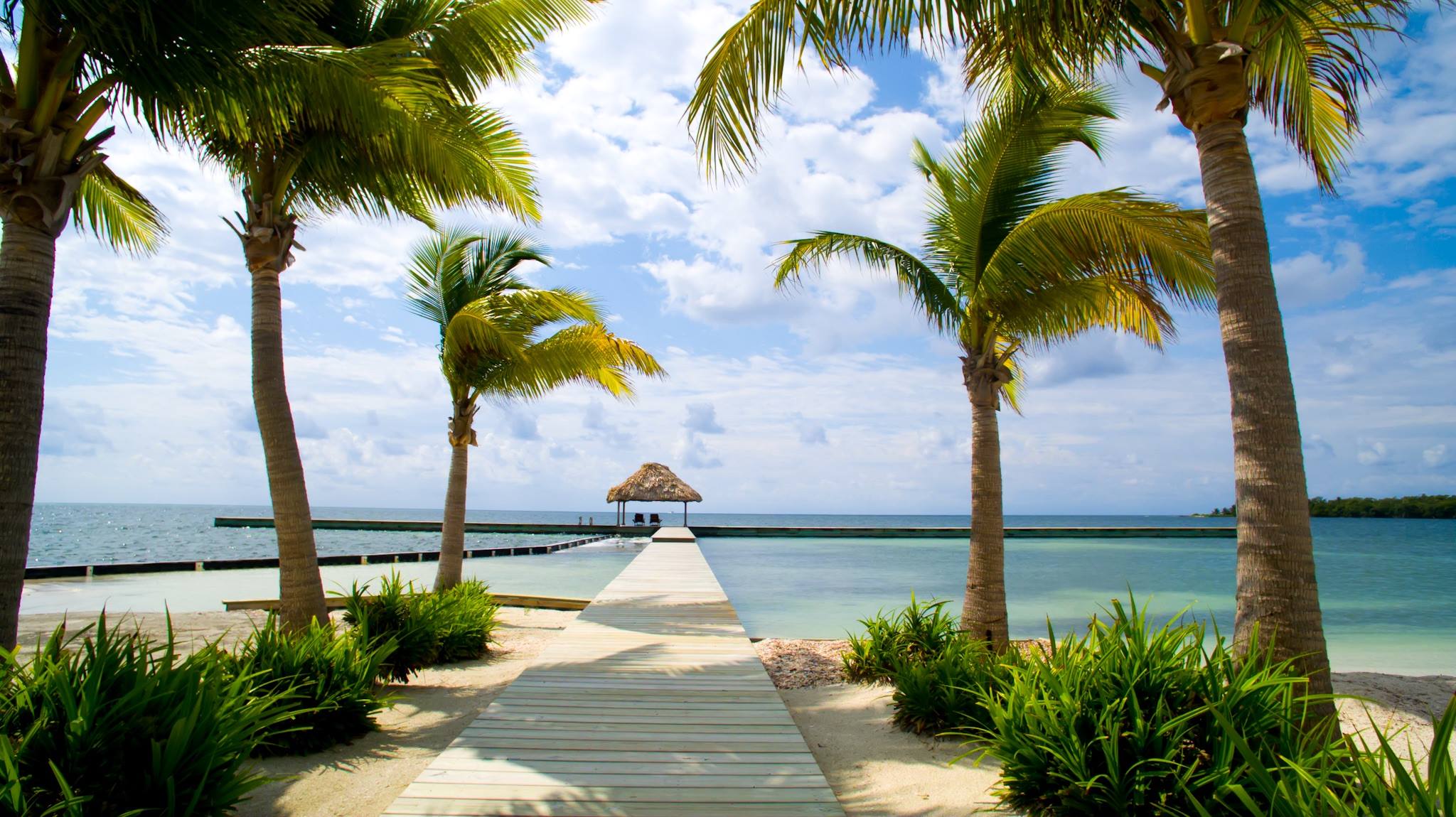 Belize; Pay 4 stay 7 at Turneffe Island Resort - Aardvark Mcleod