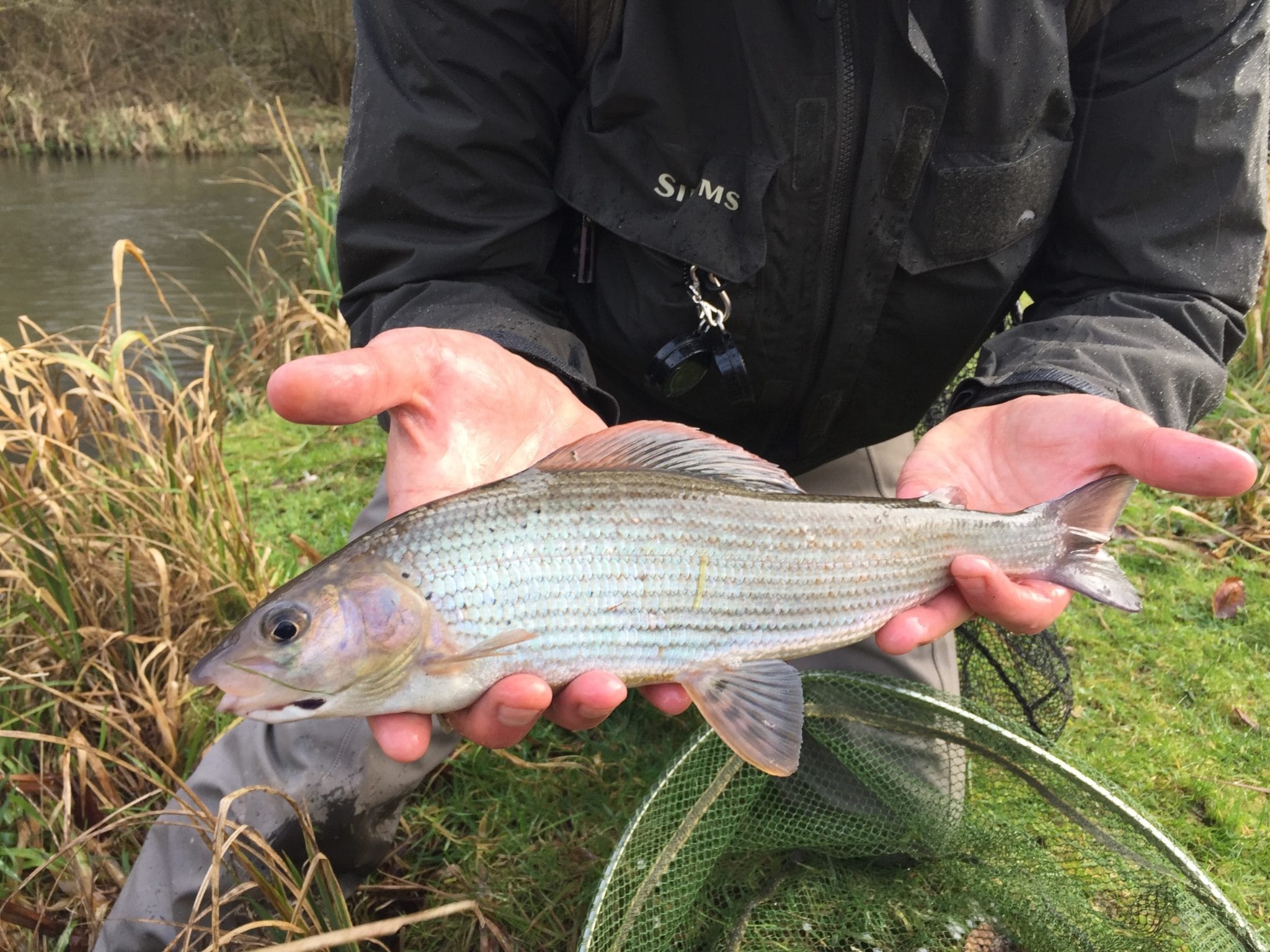 Chalkstream Grayling Fly Fishing in January & February