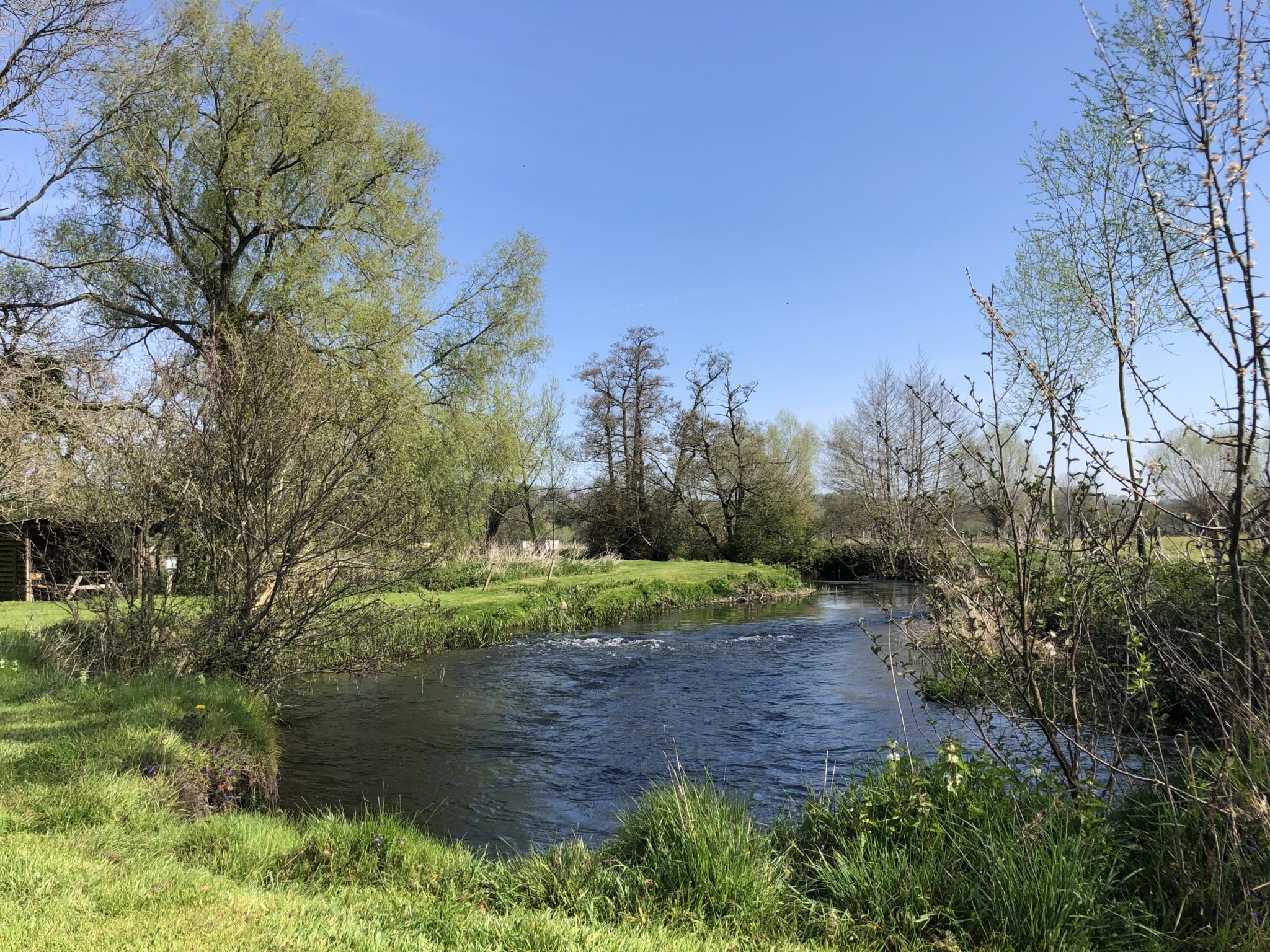 Chalkstream Fly Fishing the River Nadder in 2023 - Aardvark Mcleod