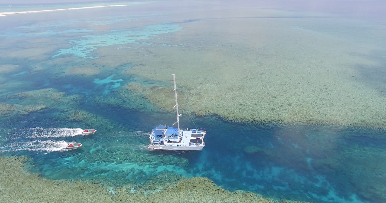 Australia; Scott Reef Exploratory Trip, November 2017 - Aardvark Mcleod