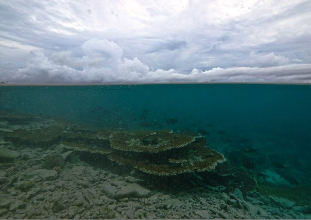 Kanton Atoll “Fly-in” Trial Expeditions – October & November 2018 ...