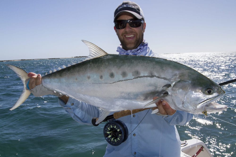 Australia; Fly Fishing for Queenfish by Peter Morse - Aardvark Mcleod