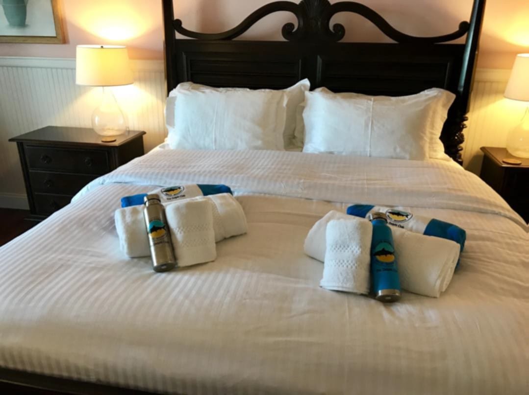 The Bahamas; The Delphi Club in 2021-22 - Aardvark Mcleod