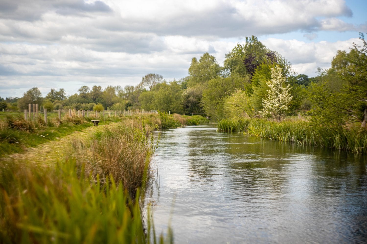 Chalkstream Fly Fishing the River Anton - Aardvark Mcleod