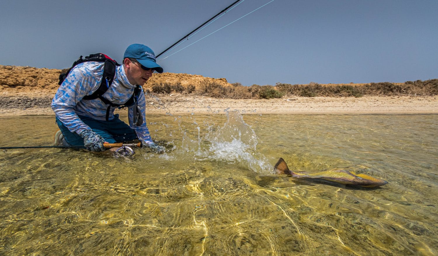 Pulling the Trigger - Catching Triggerfish on the Fly - Aardvark Mcleod