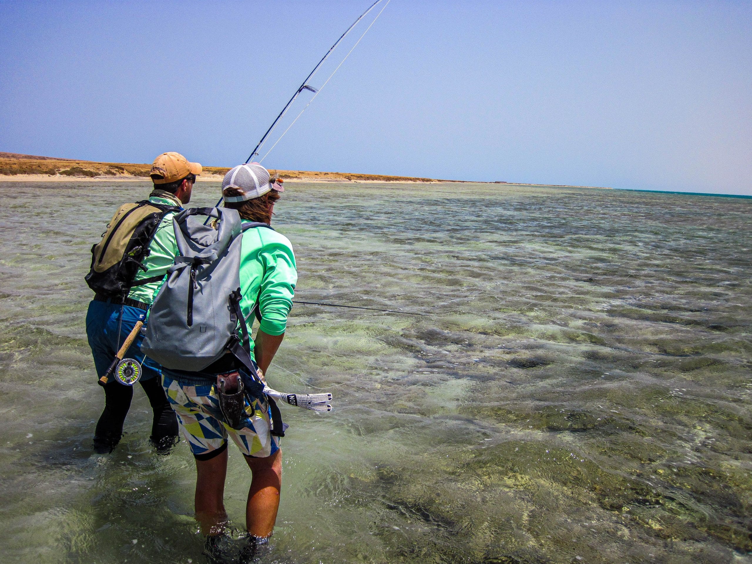 Pulling the Trigger - Catching Triggerfish on the Fly - Aardvark Mcleod