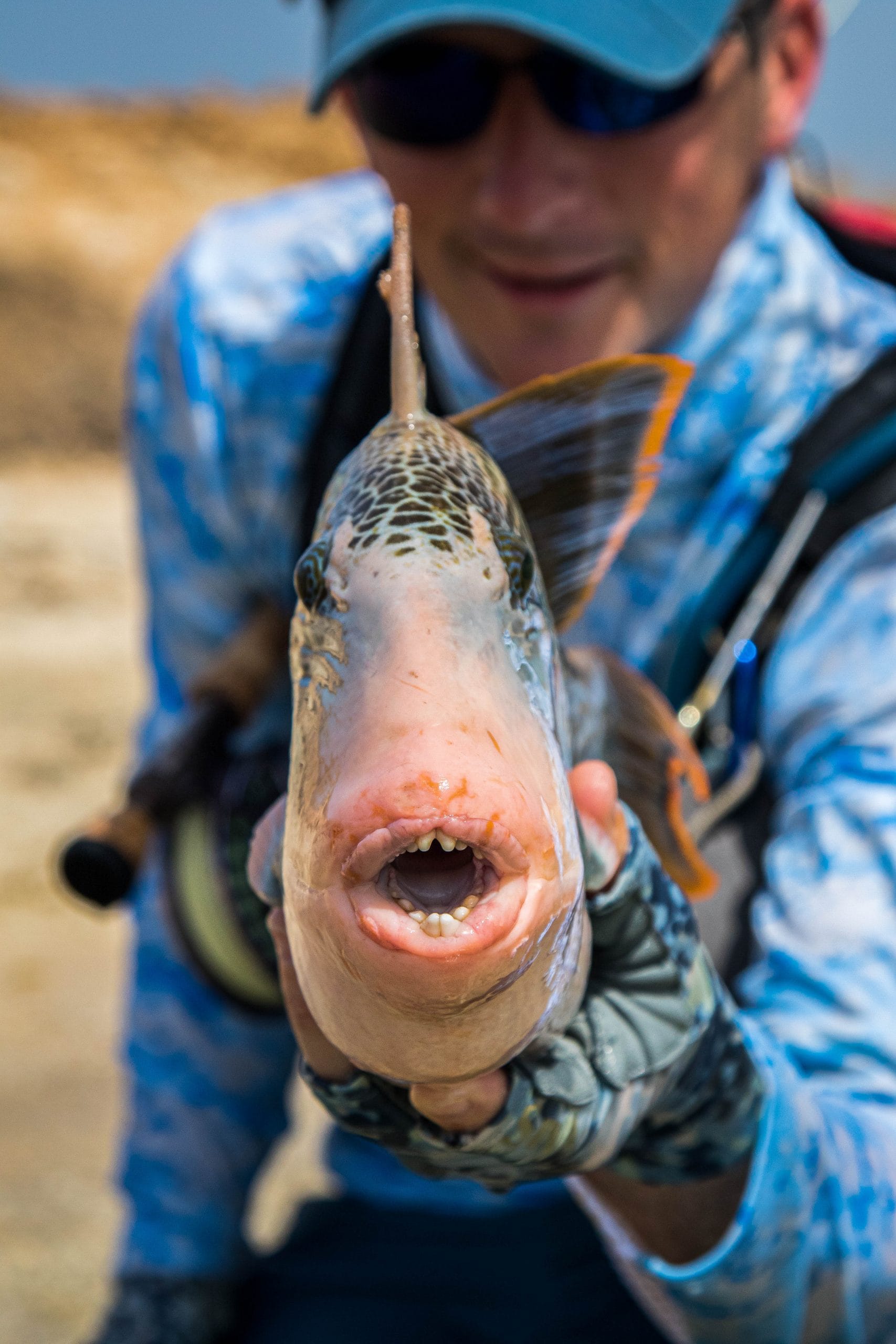 Pulling the Trigger - Catching Triggerfish on the Fly - Aardvark Mcleod
