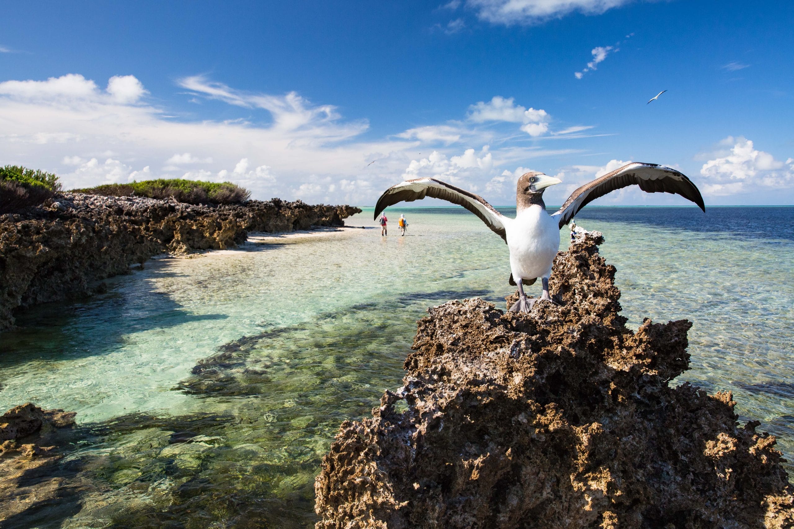 Three Favourite Destinations - Olly Thompson - Aardvark McLeod