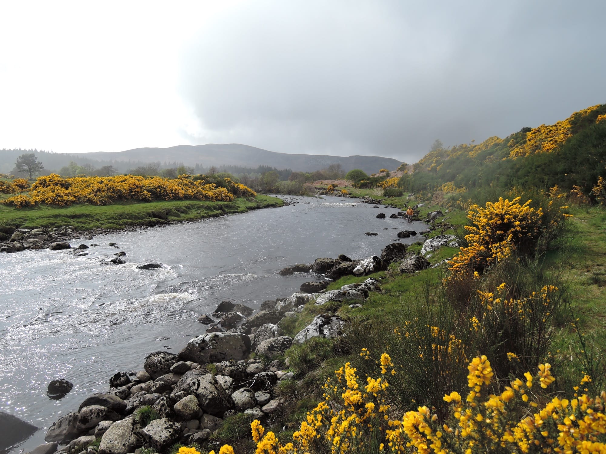Scotland; Girnal On The River Brora - Aardvark Mcleod