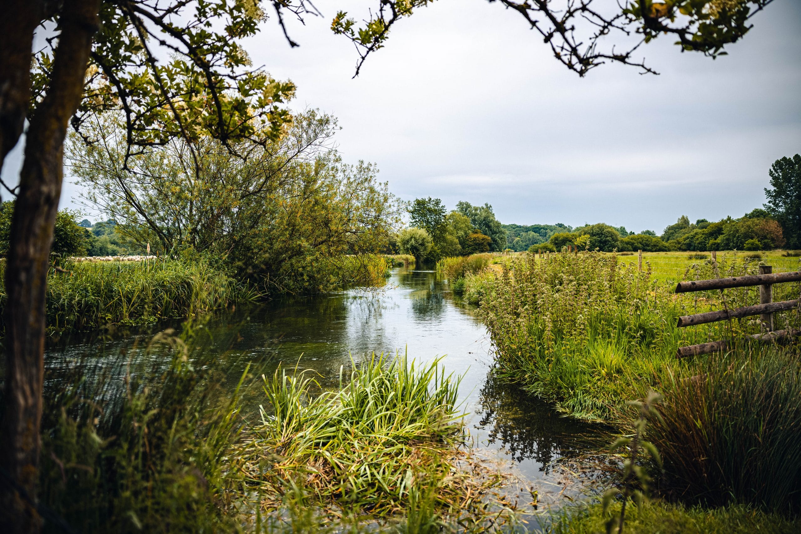 Chalkstream Fly Fishing the River Anton in 2022 - Aardvark Mcleod