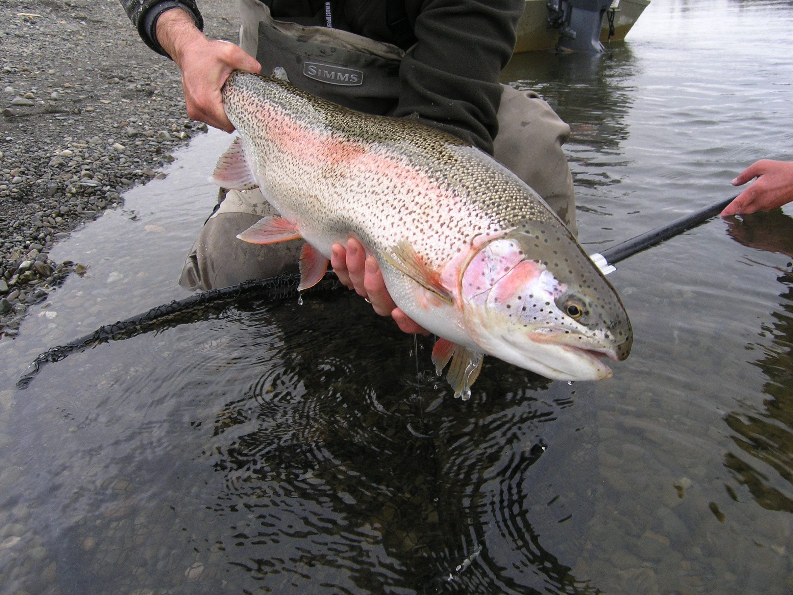 Alaska; Five Reasons To Fish A 7 Weight For Alaskan Trout