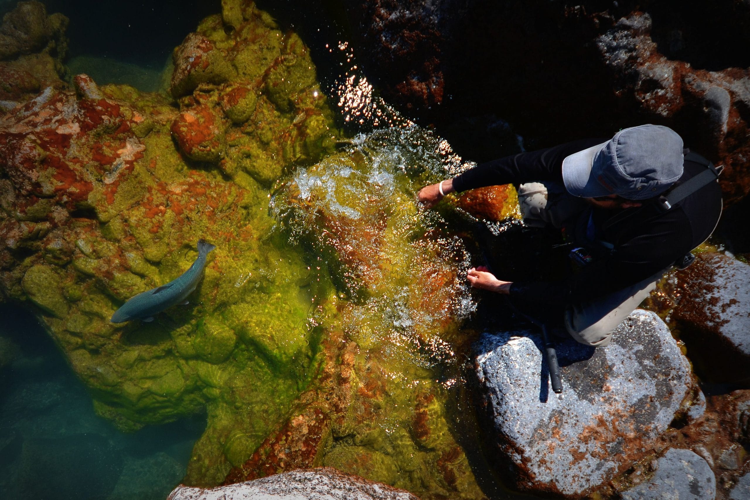 Argentina; Lago Strobel Lodge, New Lodge On Jurassic Lake