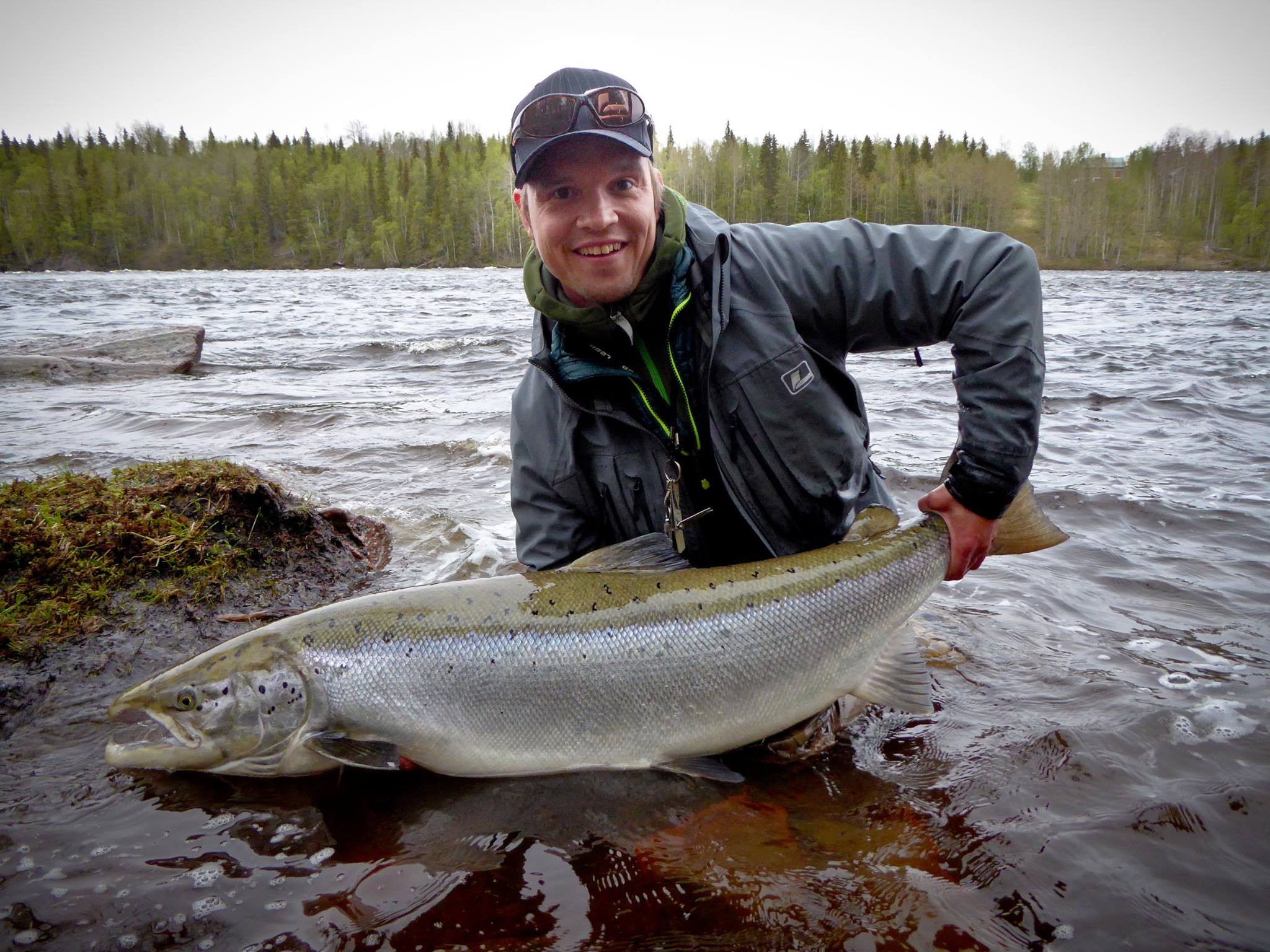 Sweden; Camp Onka Baltic Salmon Fishing 2023 Availability
