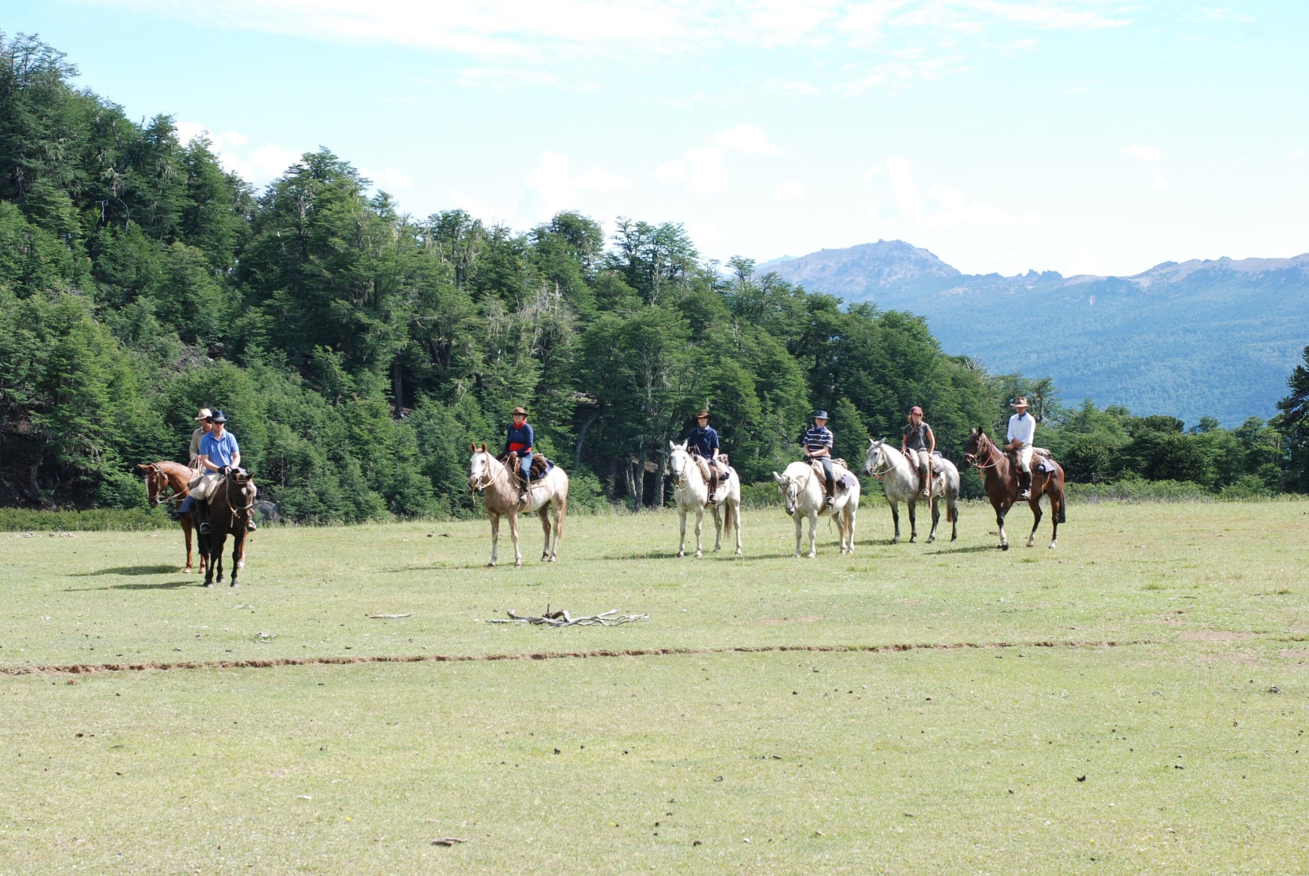 Argentina - The adventure of a lifetime - Aardvark Mcleod