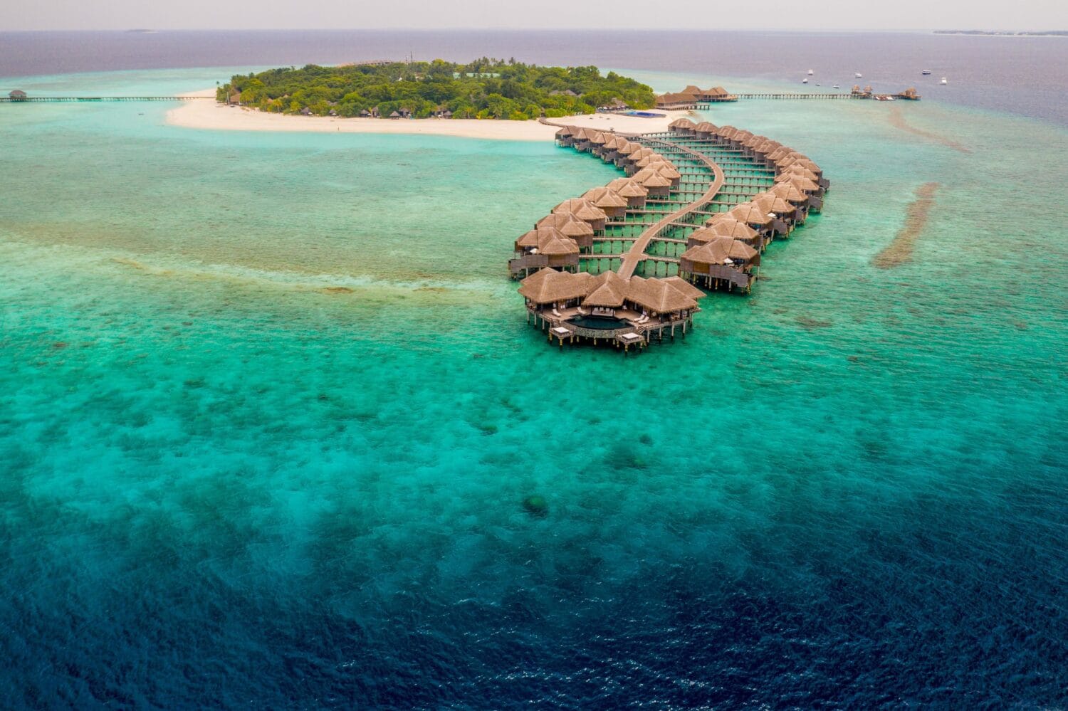 Maldives; Fly fishing - Aardvark Mcleod