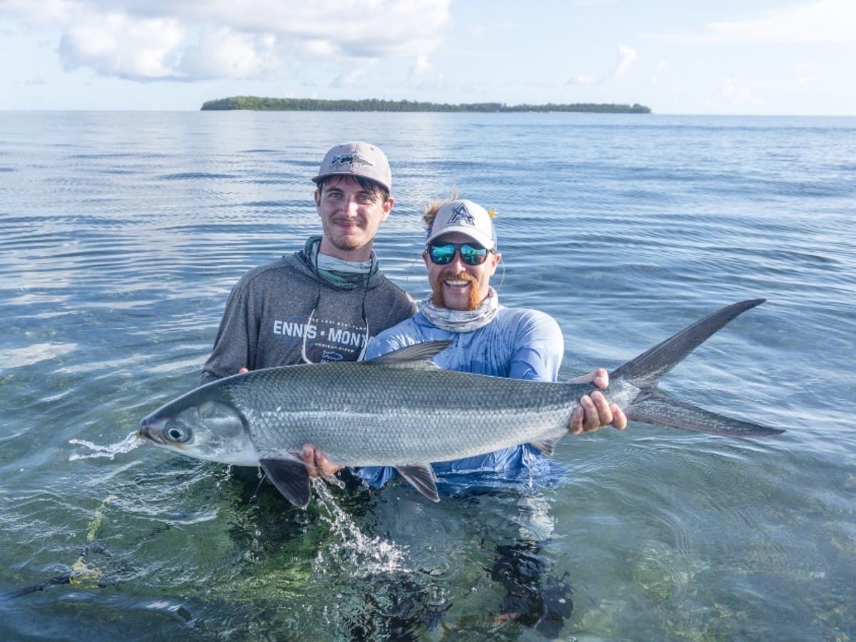 Seychelles fishing news - Alphonse Island - Aardvark Mcleod