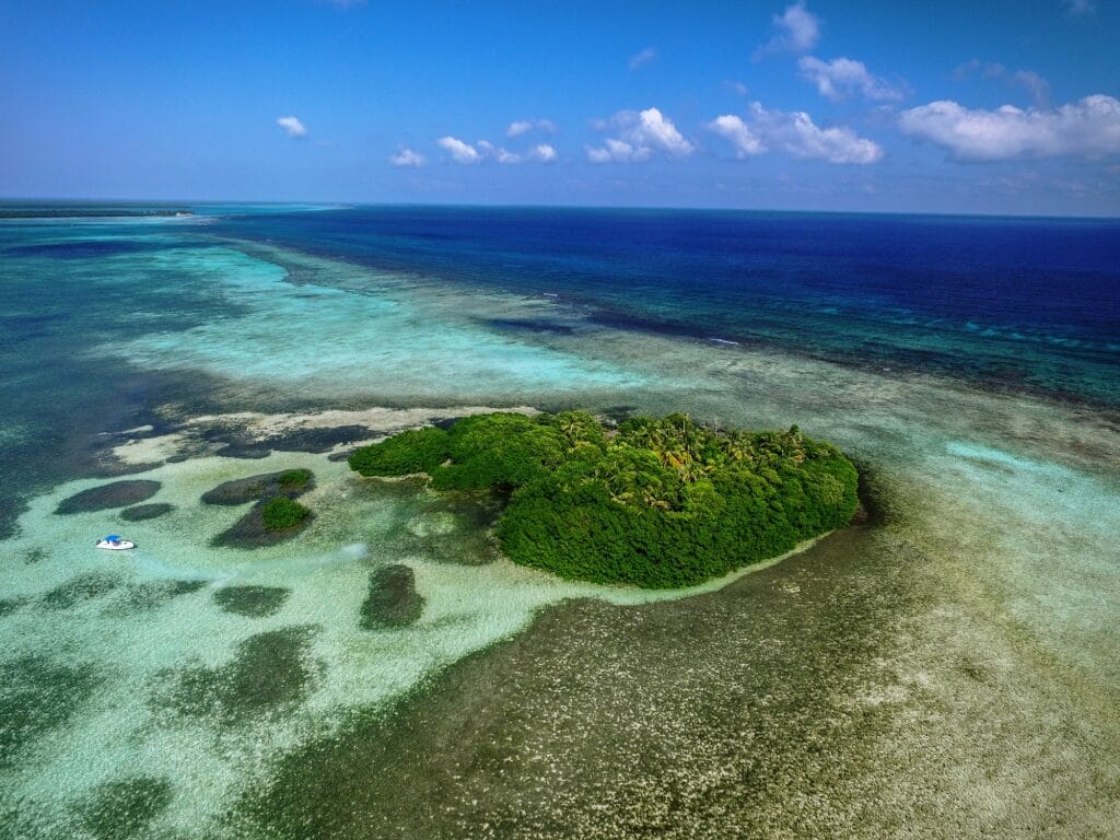 Belize - April news from Turneffe Flats Lodge - Aardvark Mcleod