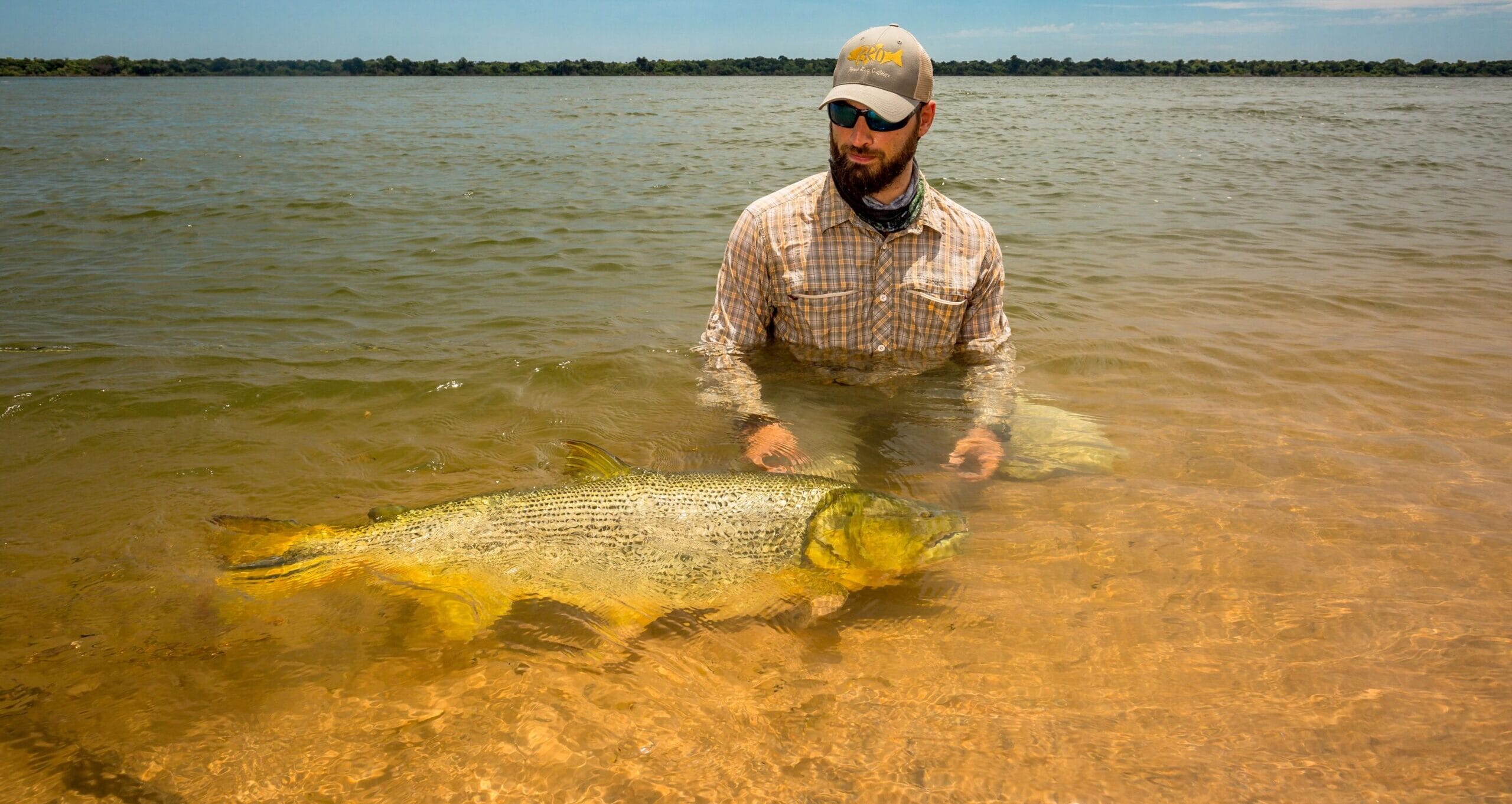 Argentina; Spectacular Dorado Fishing on Río Paraná