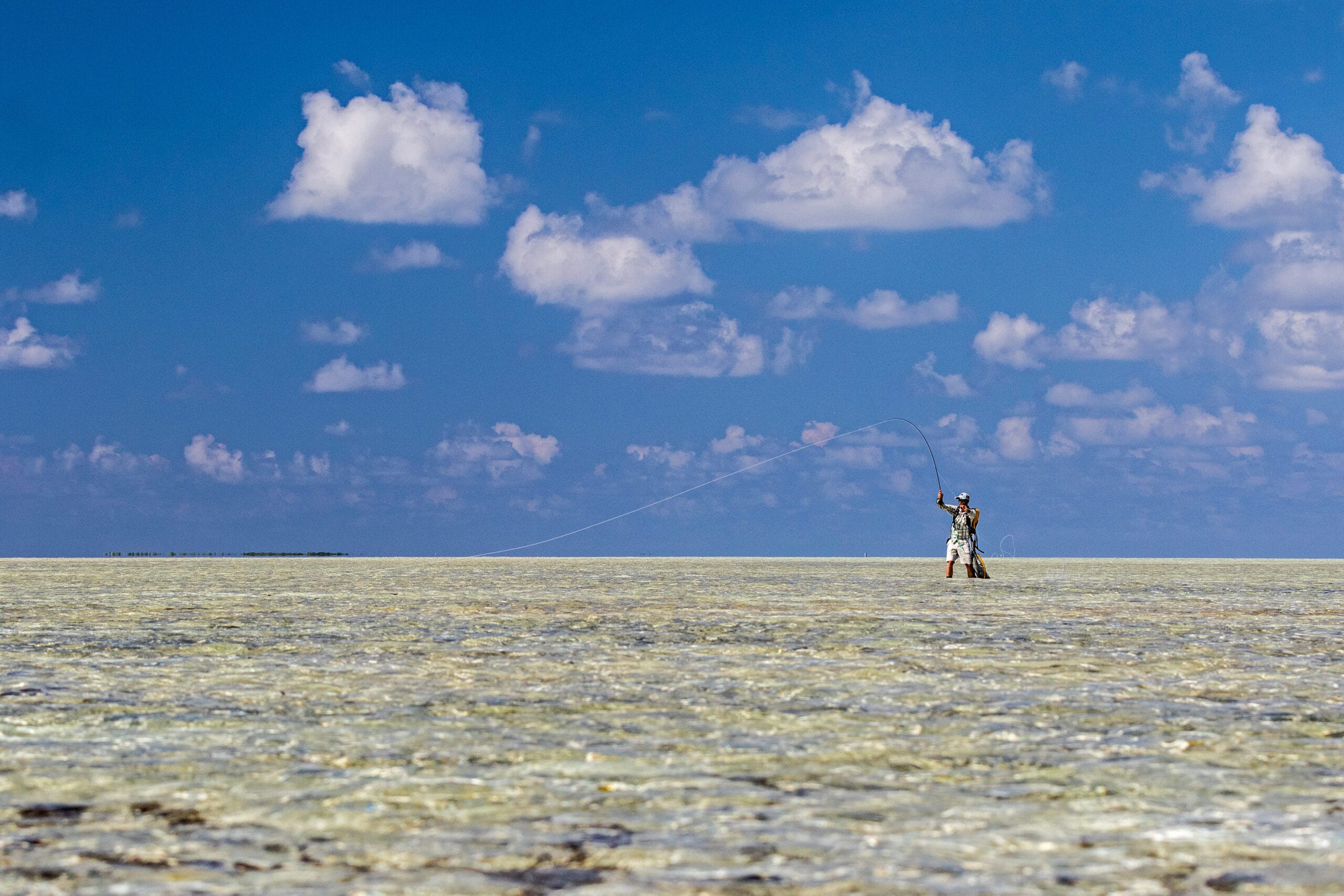 The Giant Bonefish of St Brandon's Atoll - Aardvark Mcleod