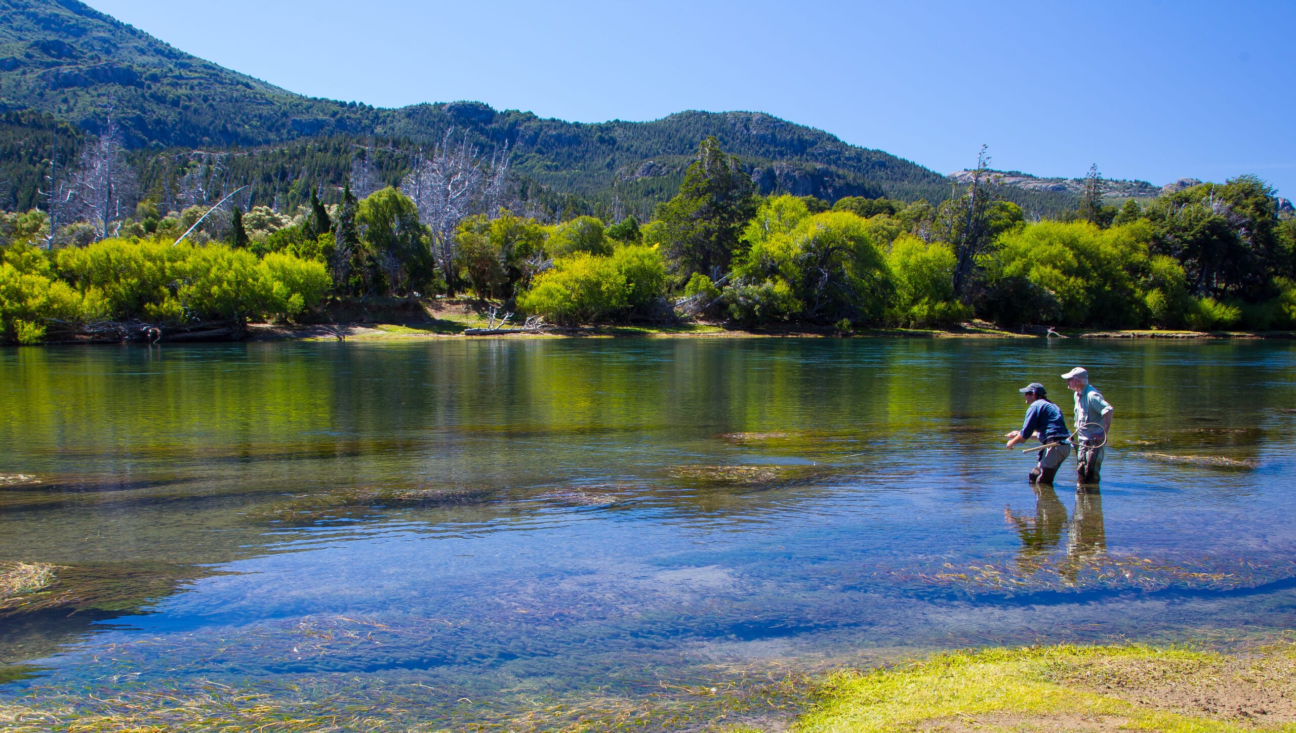 Behind the scenes at Aardvark McLeod - Aardvark Mcleod