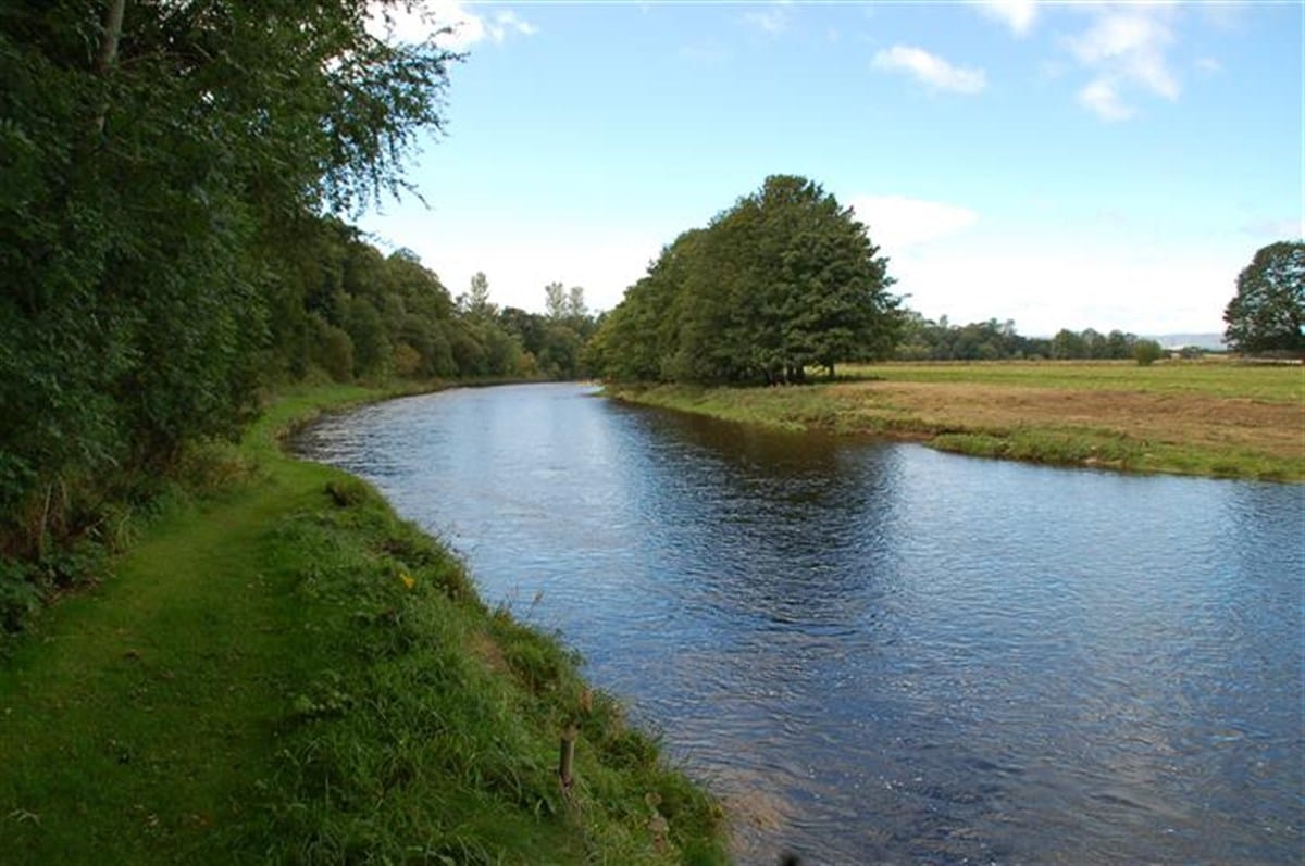 Scotland; Gallery Beat, River Esk - Aardvark Mcleod
