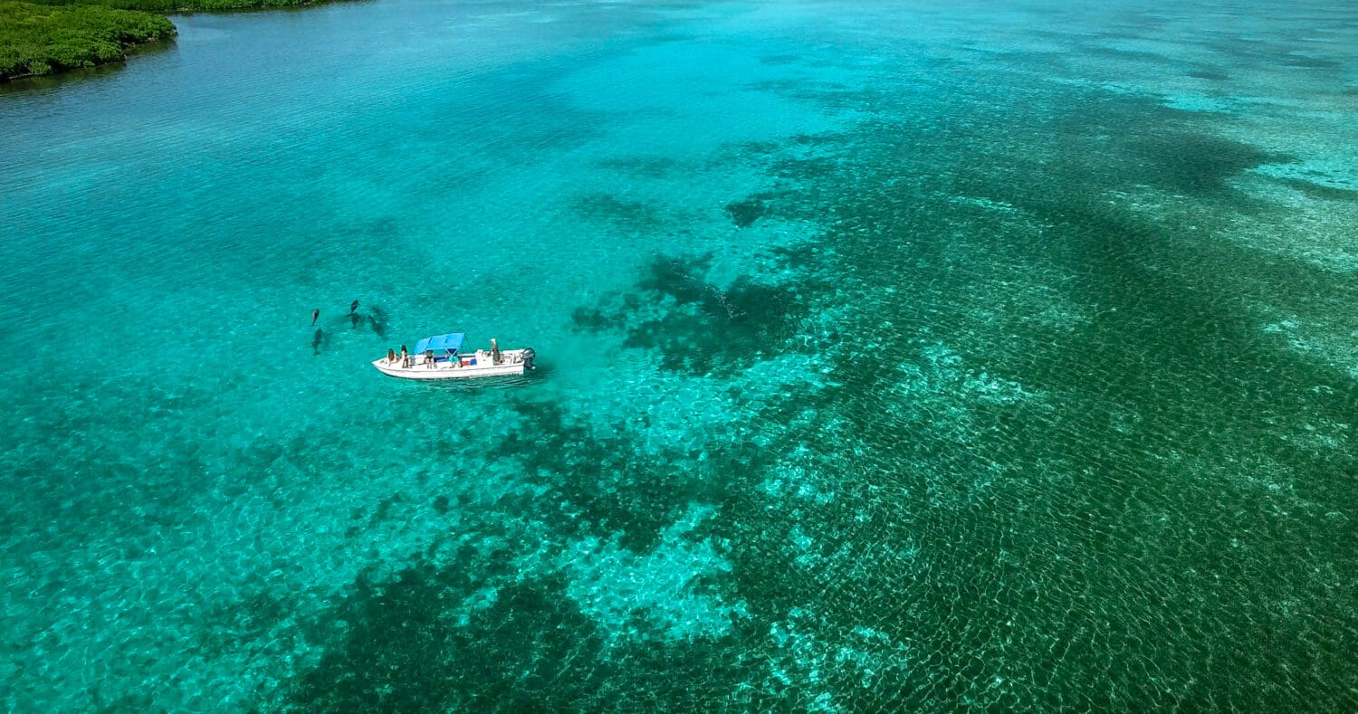 Belize - April news from Turneffe Flats Lodge - Aardvark Mcleod