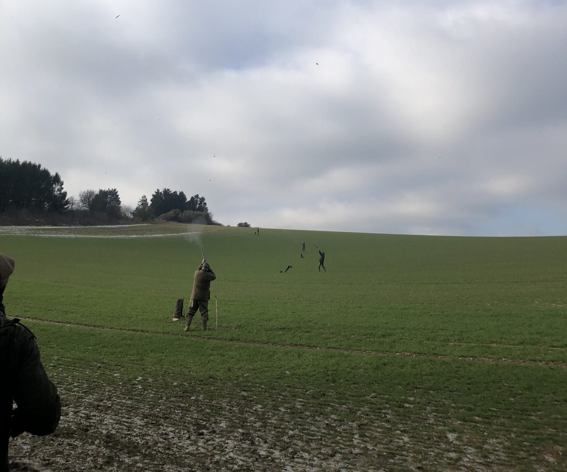 Heath House - Aardvark Mcleod