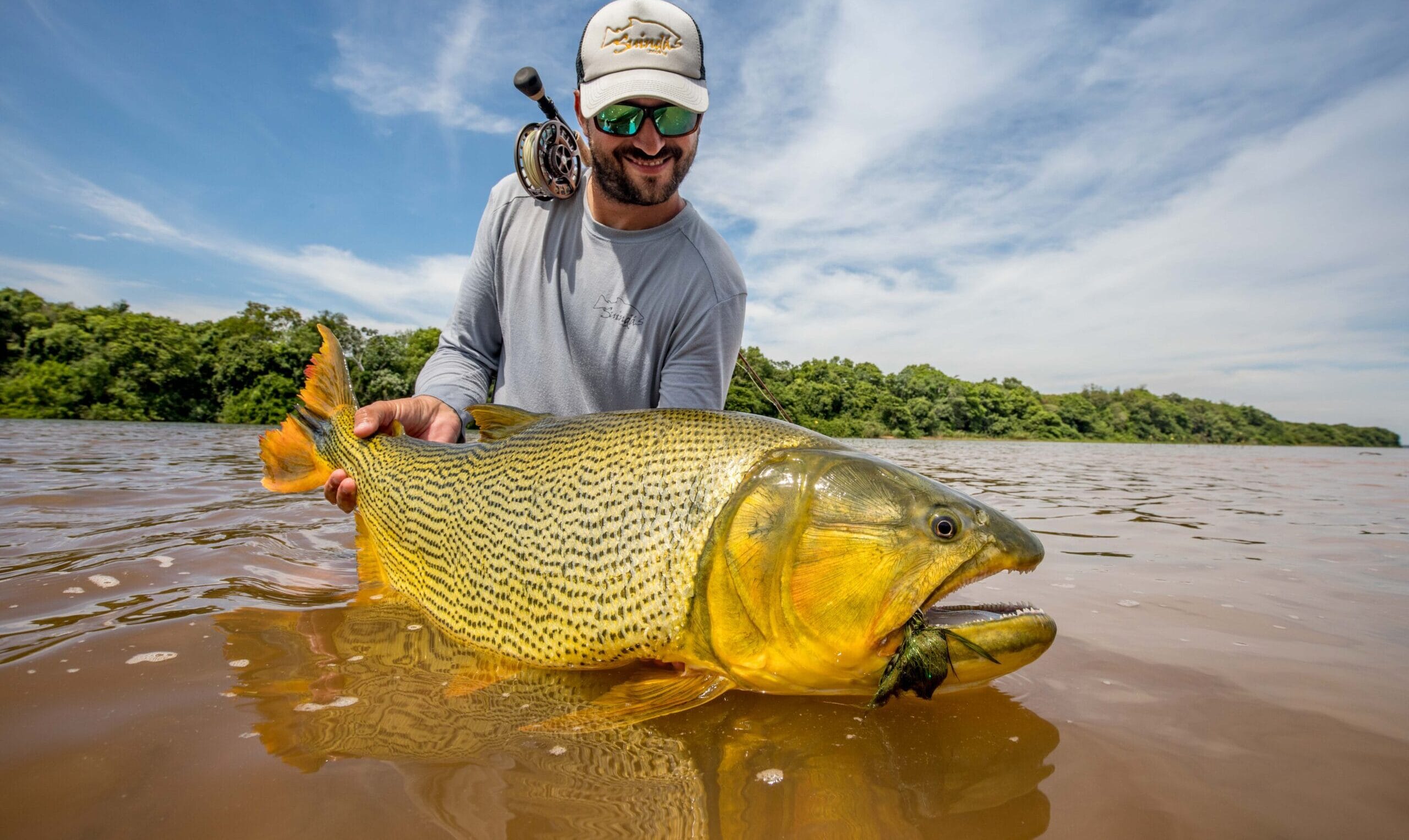 Argentina; Spectacular dorado fishing in a one-off combination itinerary