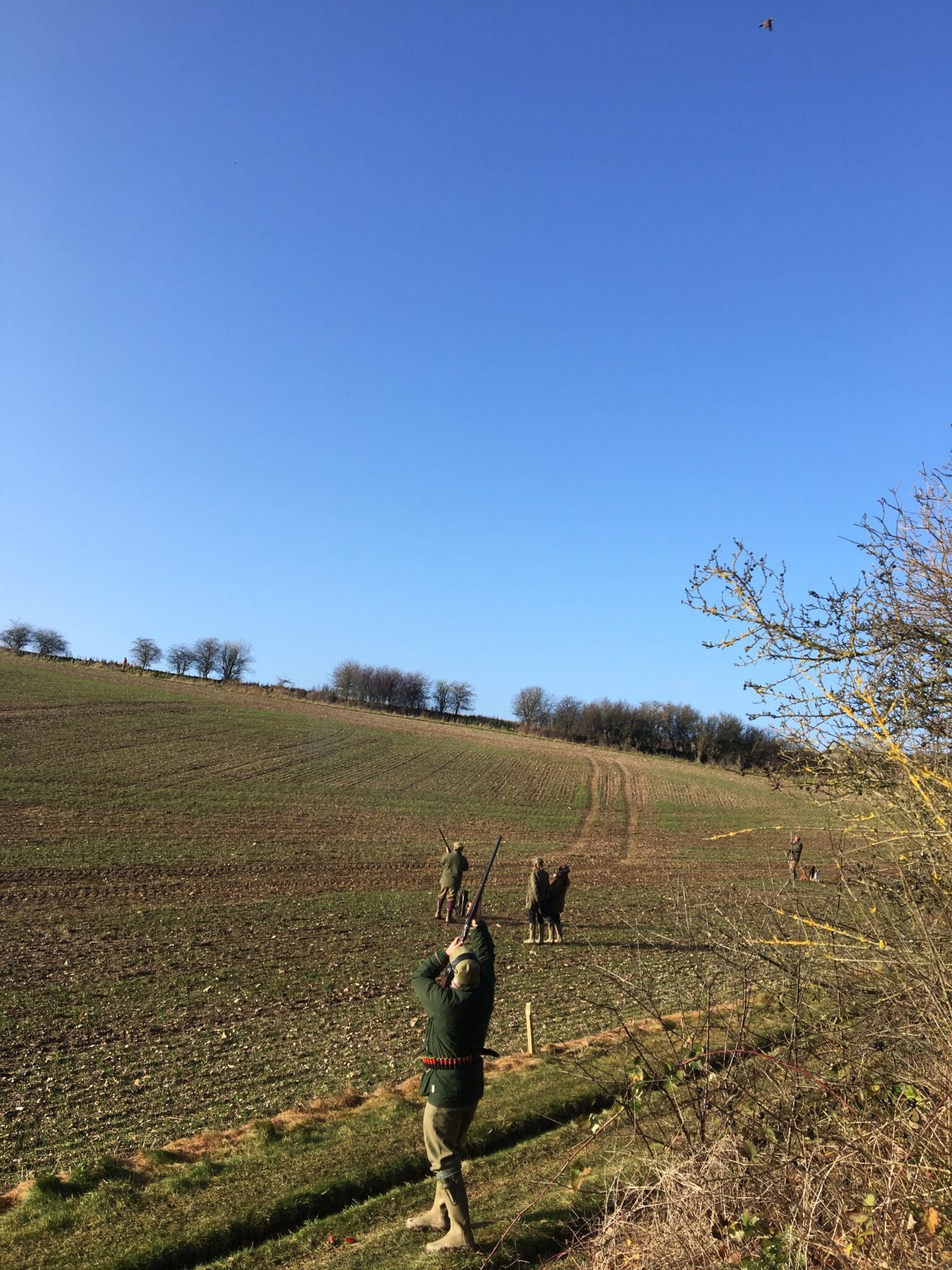 Teffont Magna Shoot, Wiltshire - Aardvark Mcleod