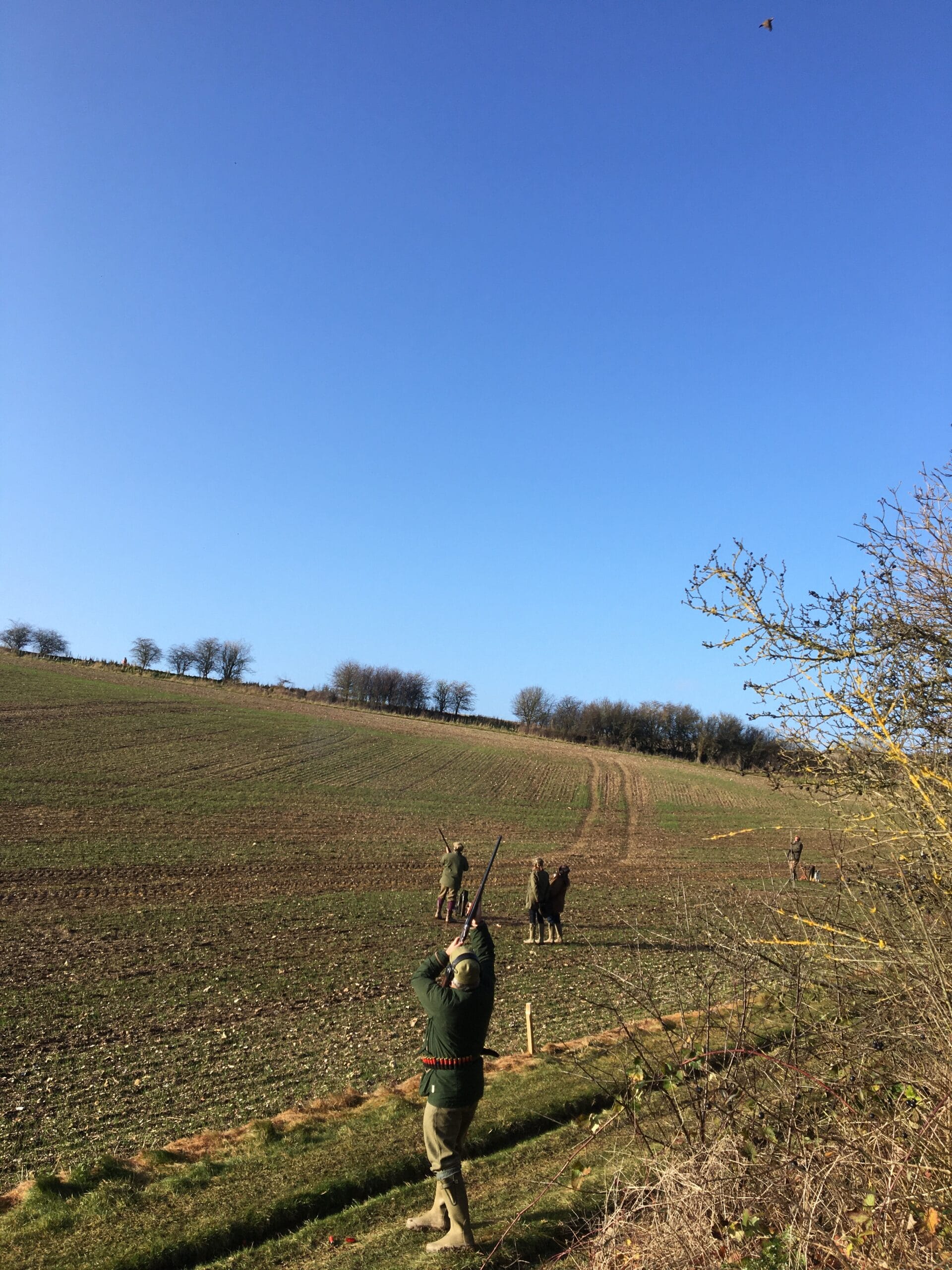 Teffont Magna Shoot, Wiltshire - Aardvark Mcleod