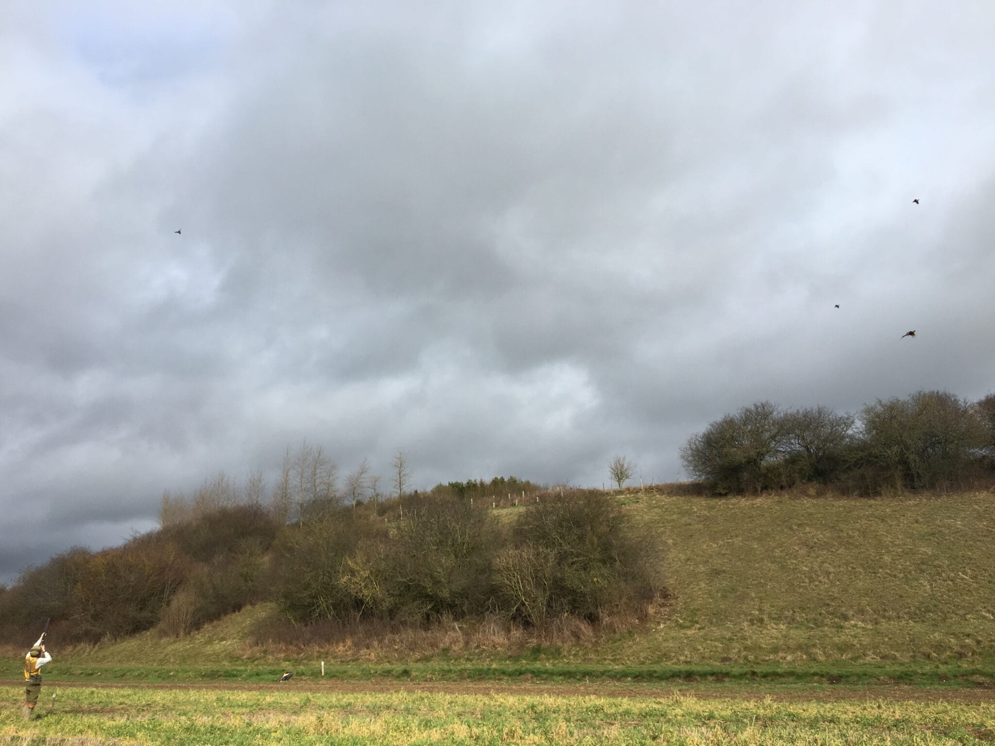 Teffont Magna Shoot, Wiltshire - Aardvark Mcleod