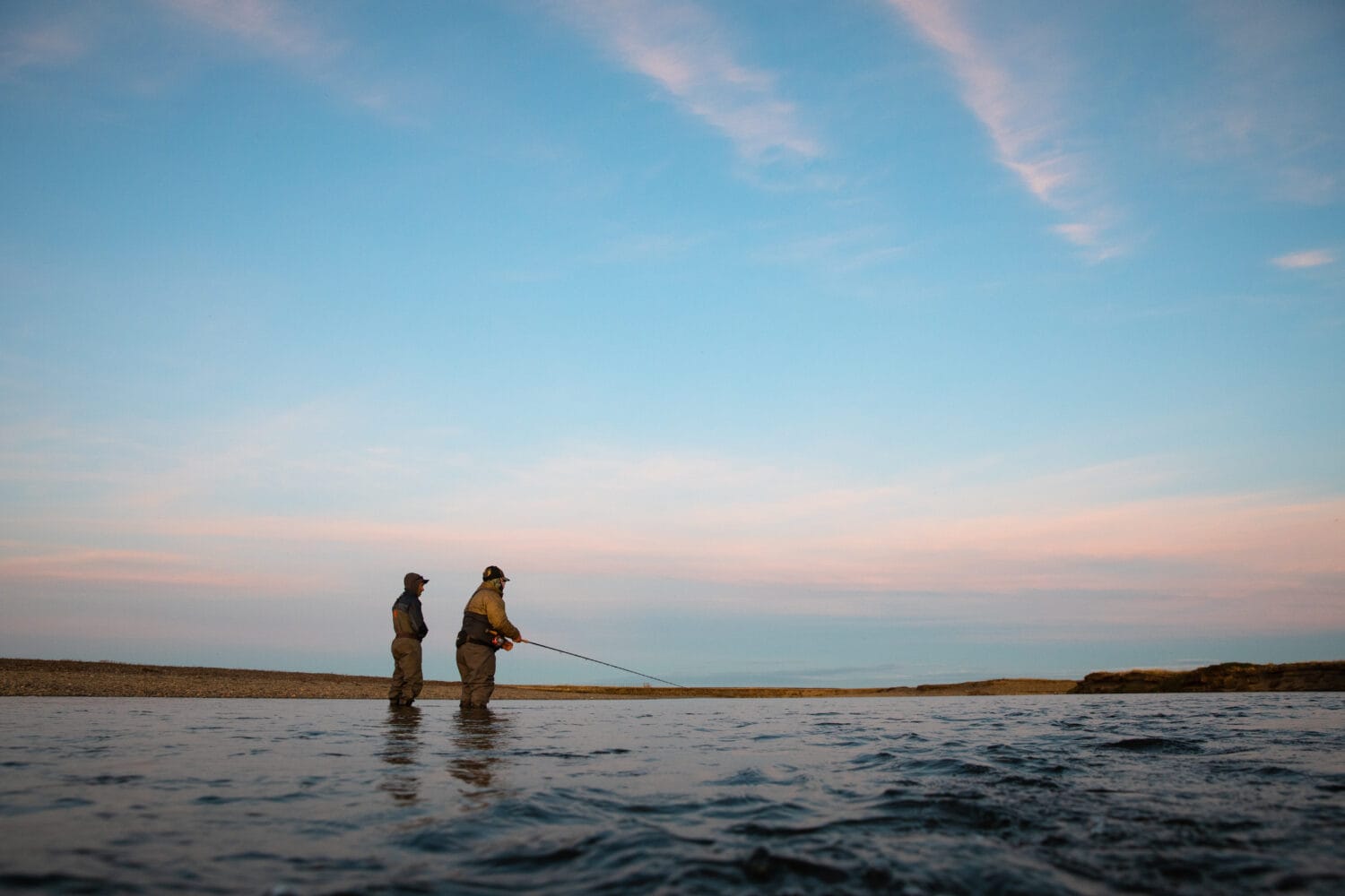 Favourite photographs from the Aardvark McLeod team - Aardvark Mcleod