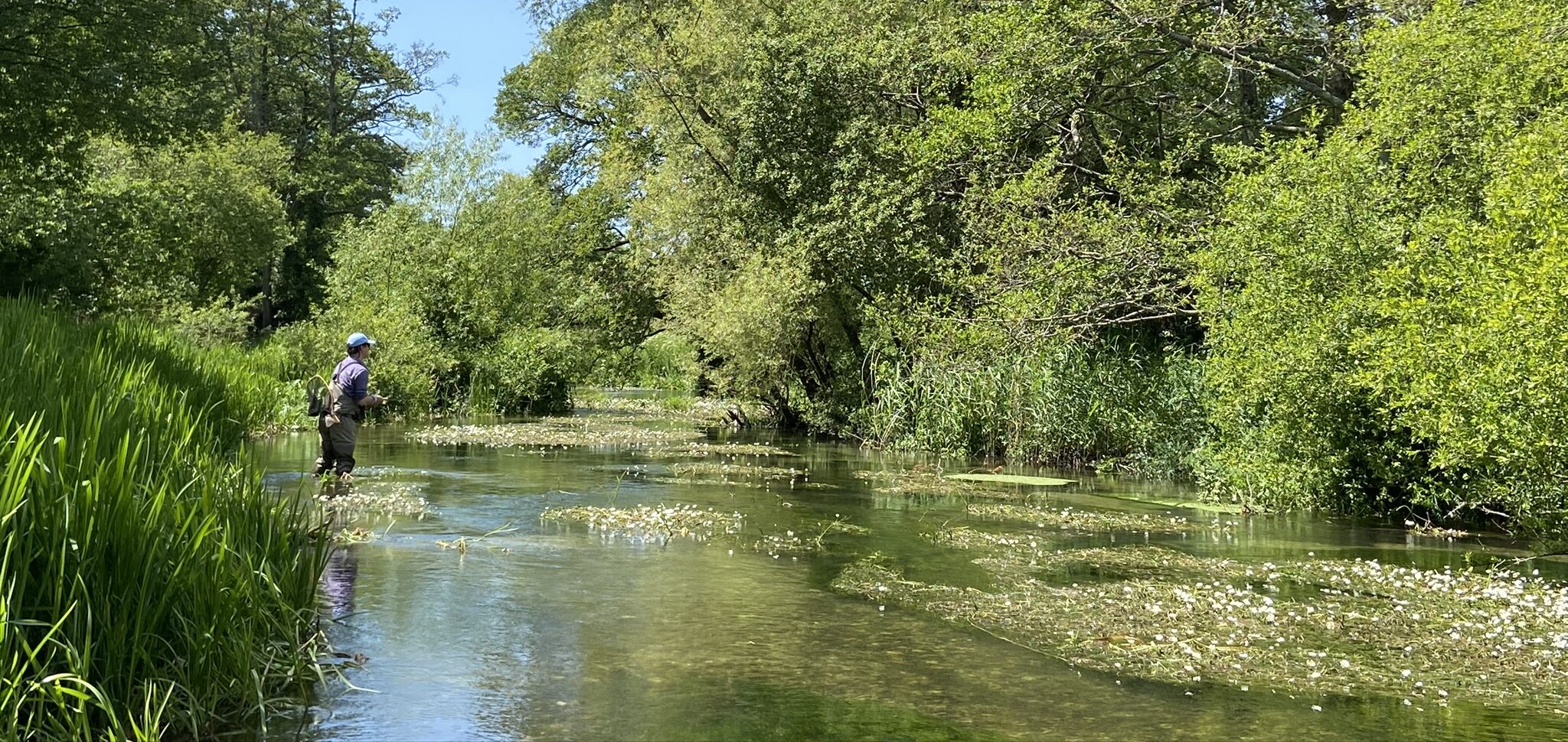Chalkstream Fly Fishing the River Frome from award winning ...