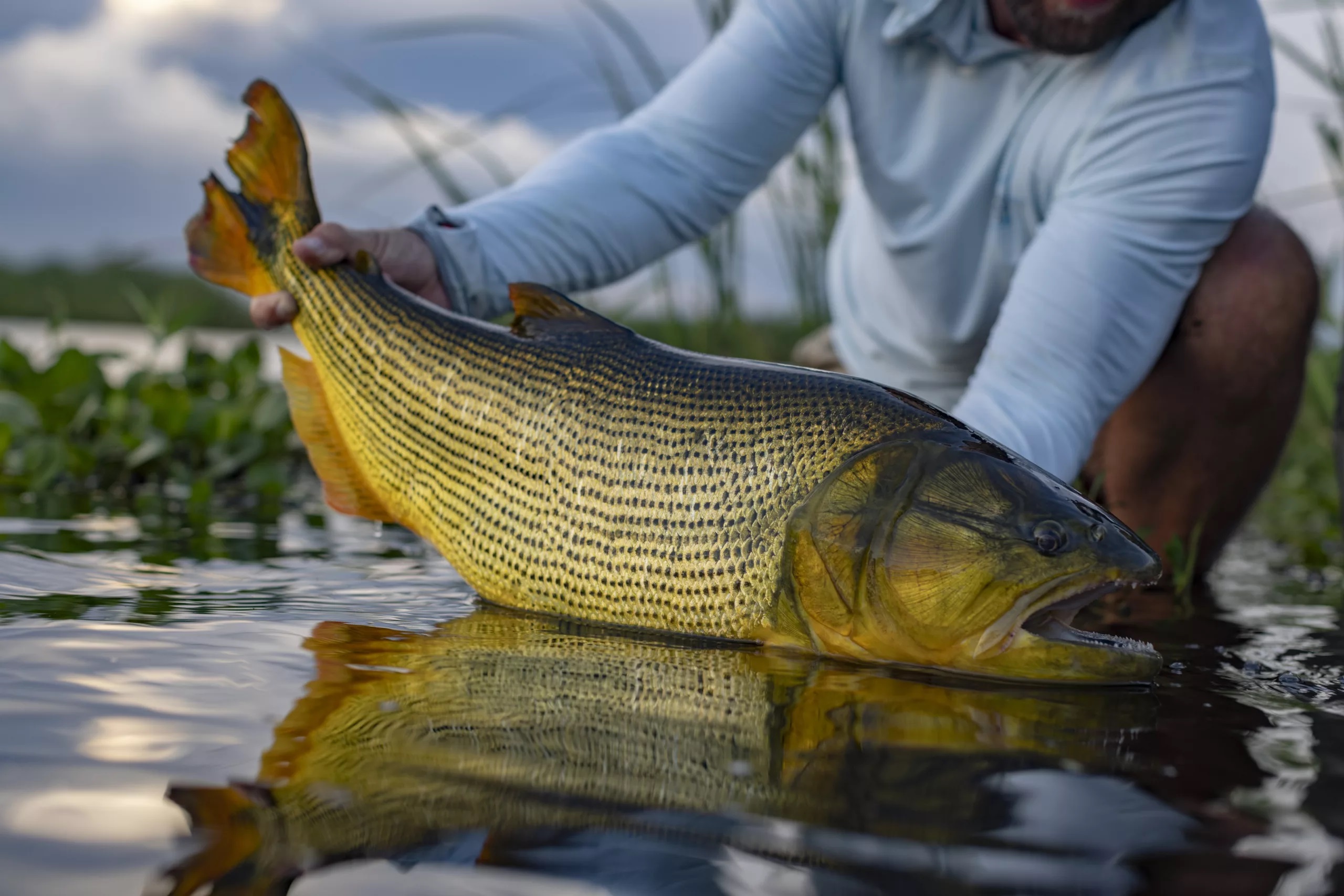 Argentina; Pirá Lodge - End of 2024/25 season report - Aardvark Mcleod