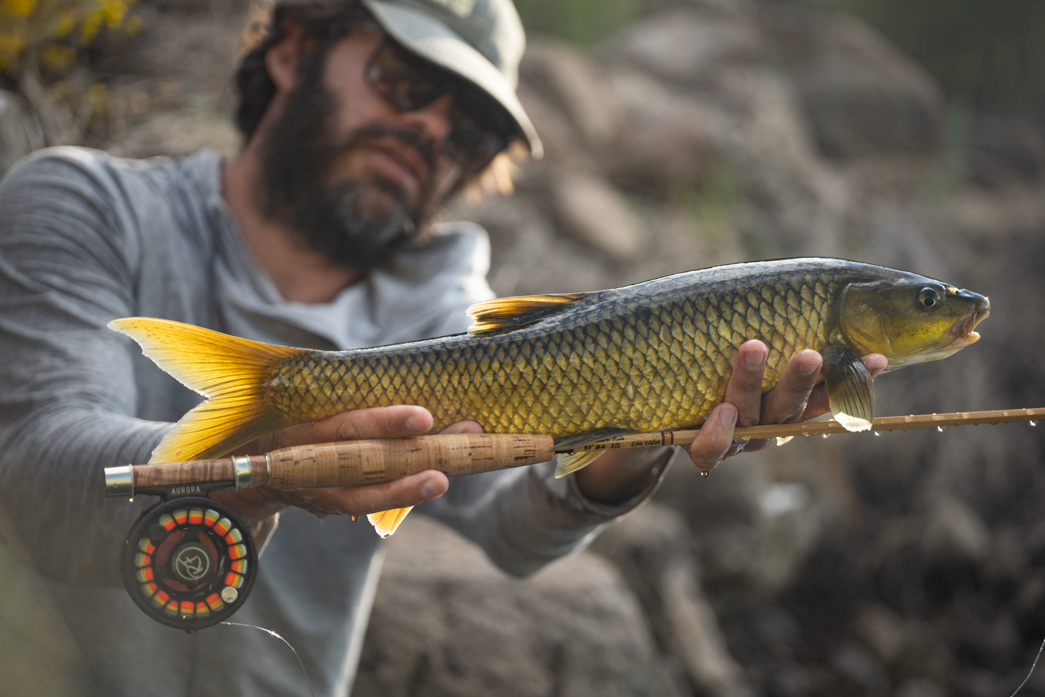 Aardvark Mcleod - Freshwater fishing - Lesotho - Trout & Yellowfish