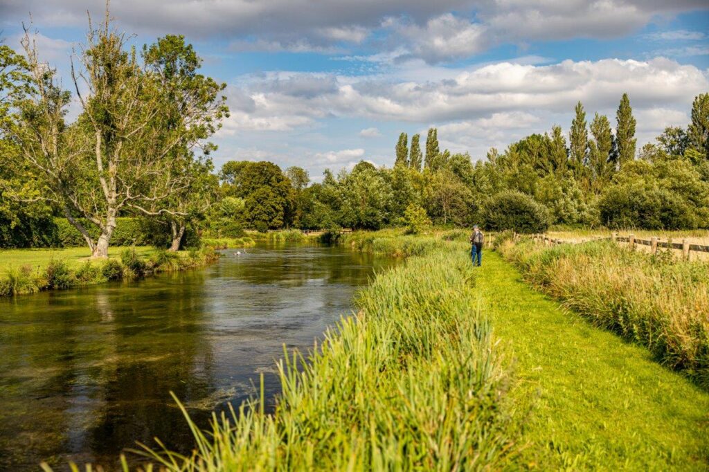UK; Mayfly Availability 2026 - Aardvark Mcleod